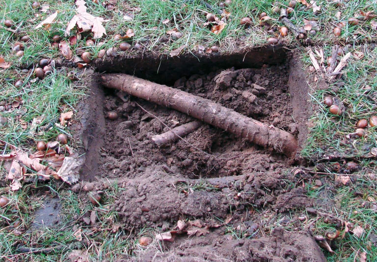 Imants - RootPruner - Links Turf Equipment