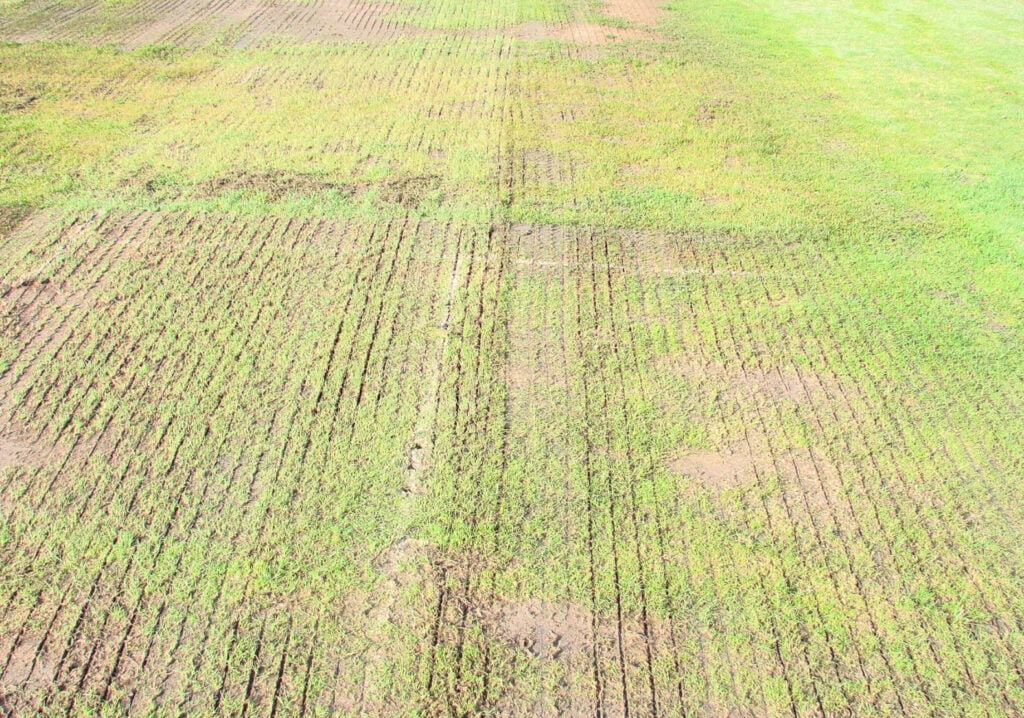 Imants - RotoSweep & Rhea Scarifier - Links Turf Equipment